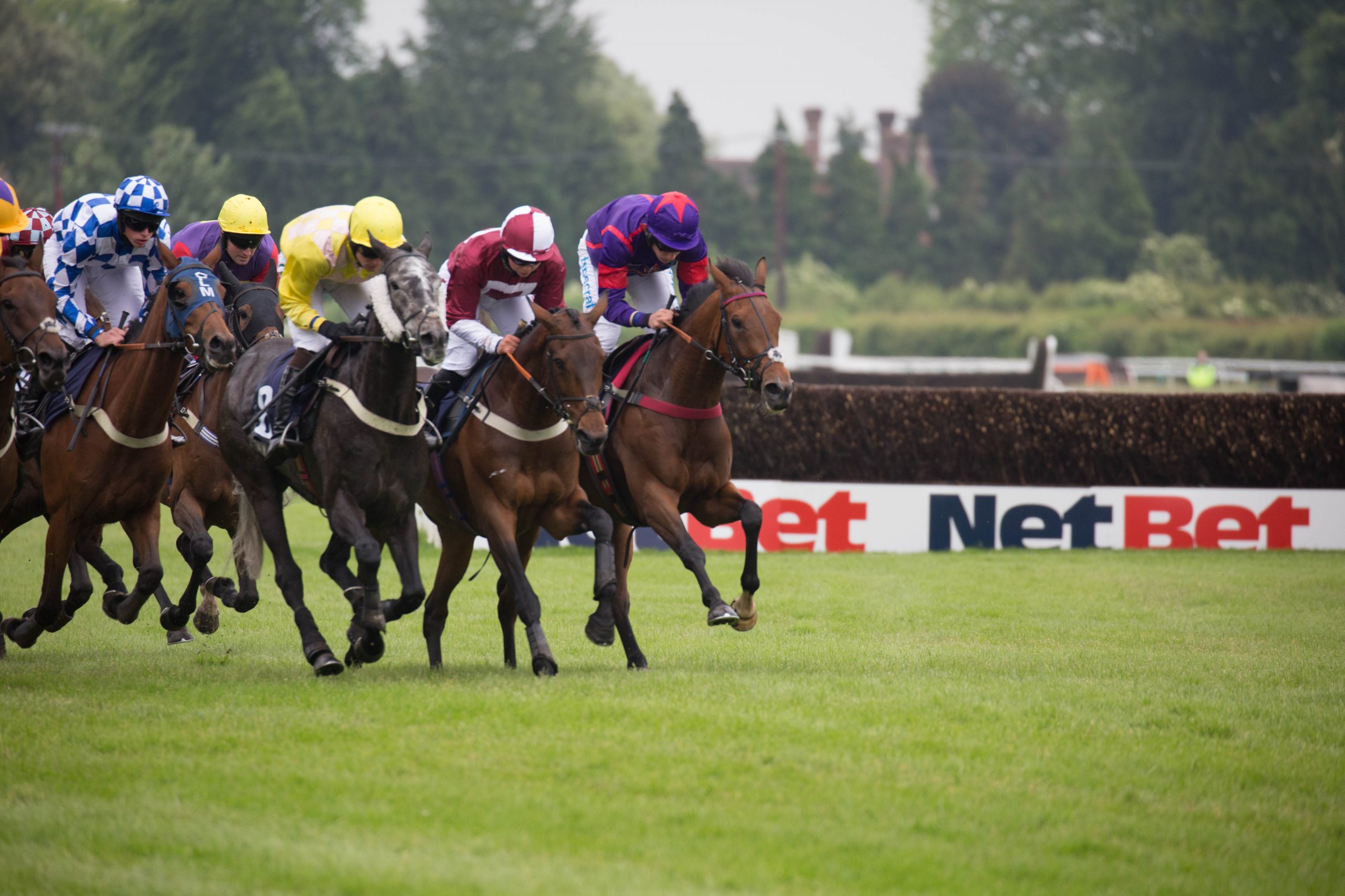 5 Best Bets at Cheltenham 2020 - NetBet UK