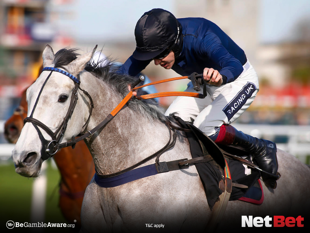 Grand National 2022 Preview, Odds and Betting Tips - NetBet UK