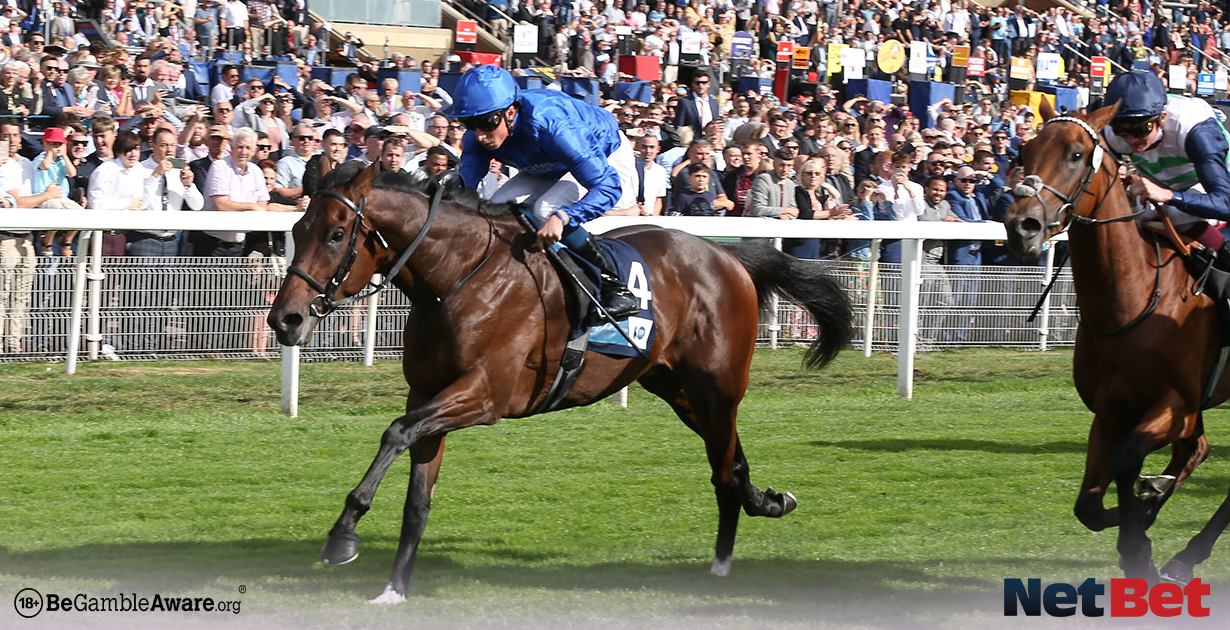 York Ebor Festival 2024: Preview, Odds, Tips & More - NetBet UK